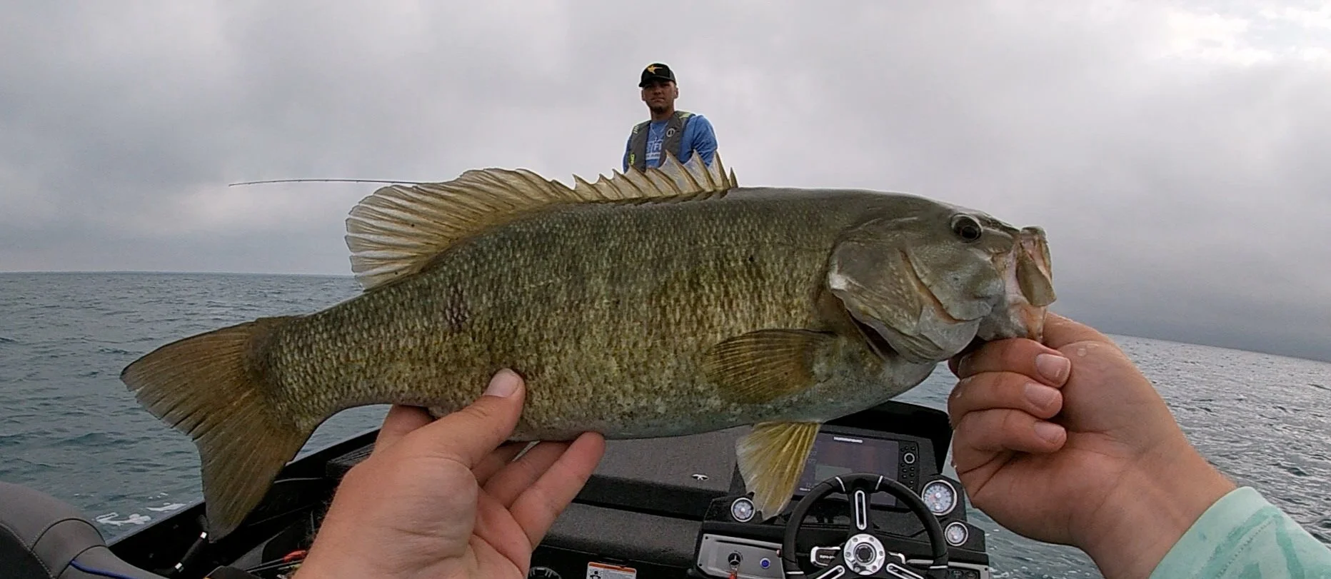 Spinnerbait Success: Maximizing Strikes with Free-Range Trailer Hooks ...