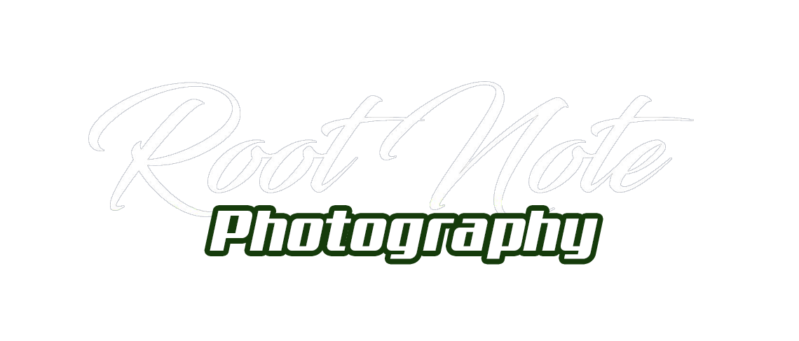 WORKS — Root Note Photography