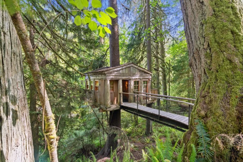 The “Big Four” Treehouses: Iconic Guest Favorites — Treehouse Point