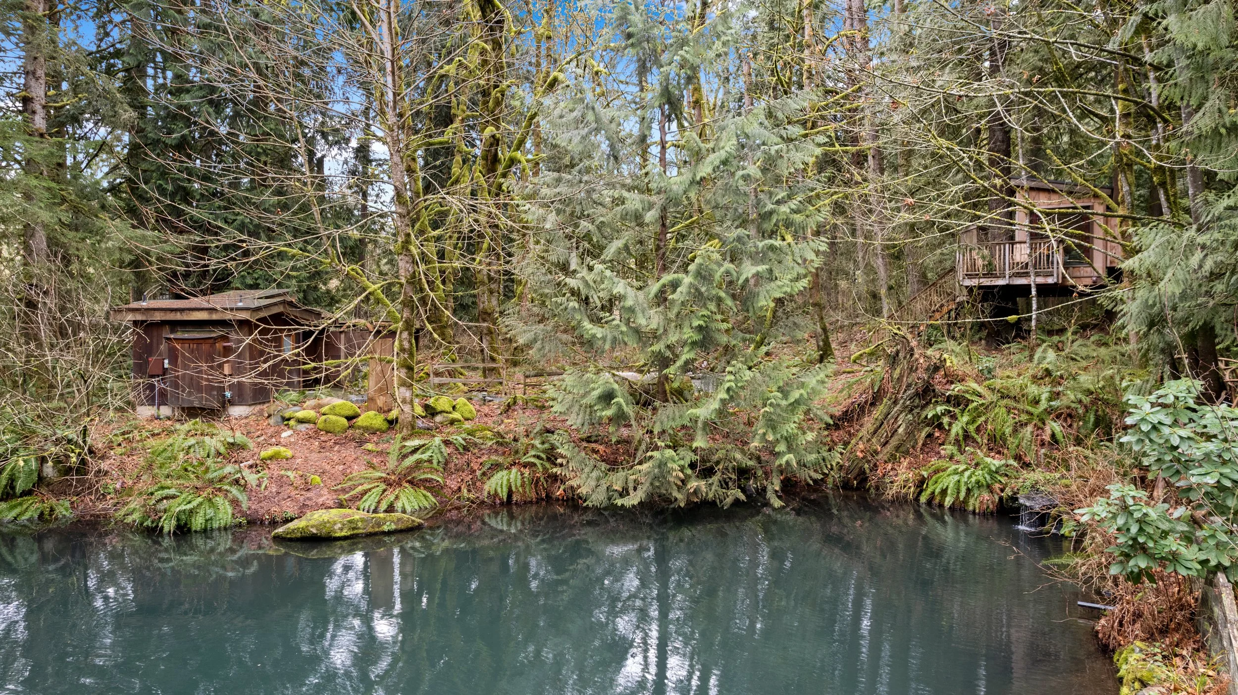 Nest: The Coziest Treehouse at Treehouse Point — Treehouse Point