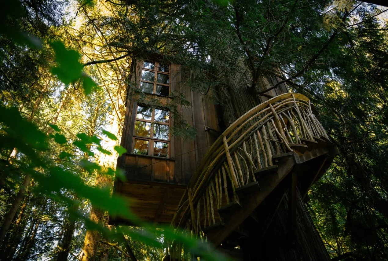 Treehouse Point
