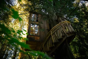 Treehouse Point