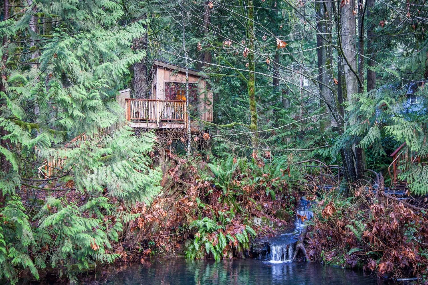 Winter at Treehouse Point: A Whimsical forest Getaway — Treehouse Point