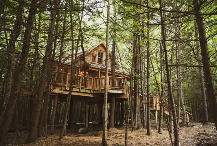 About Us | Discover Unique Treehouse Stays — Reserve Today — Treehouse ...