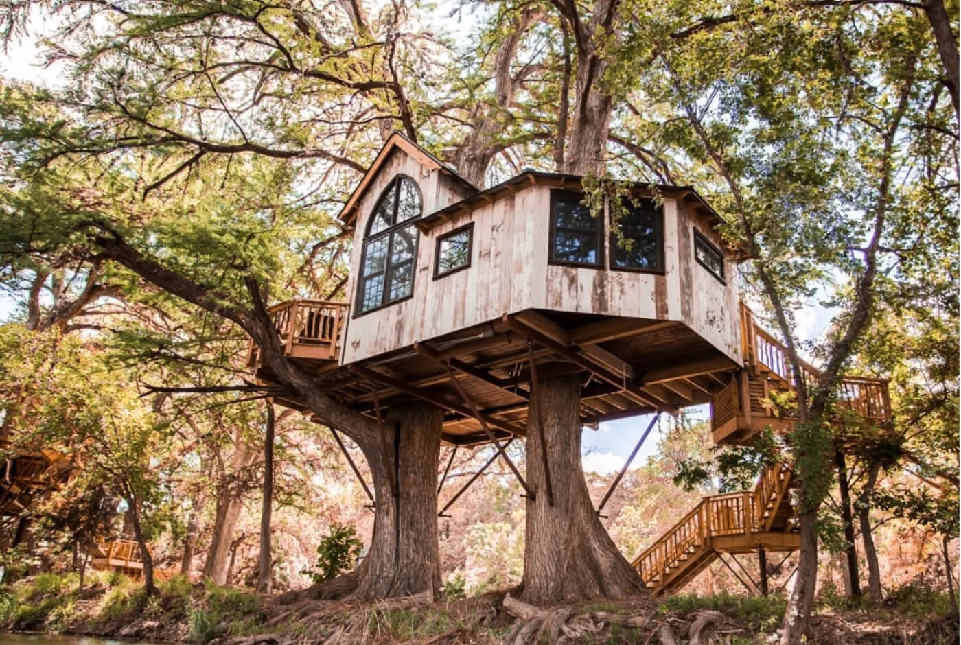 About Us — Treehouse Point