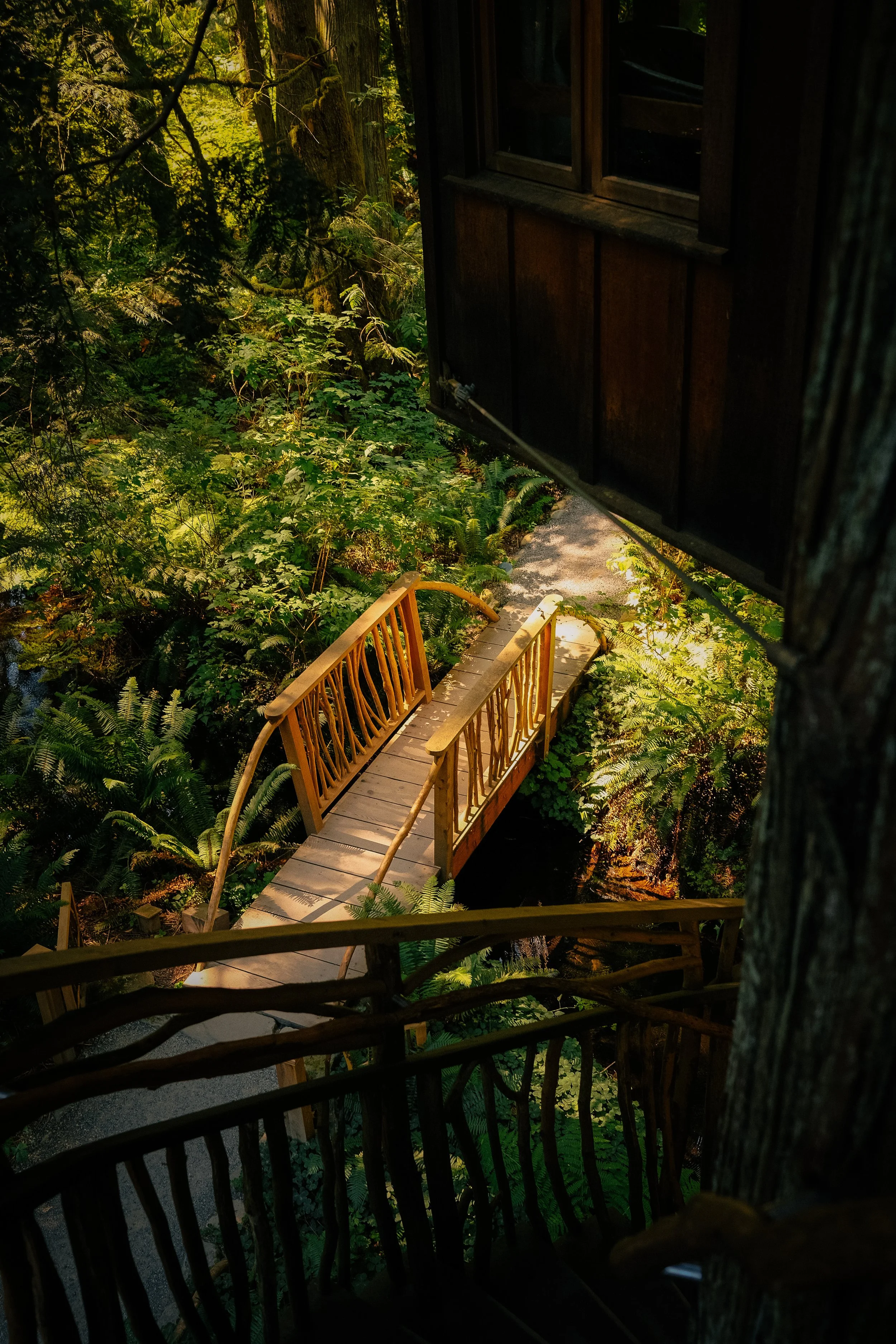 Trillium: The Tremendous Treehouse of Windows — Treehouse Point