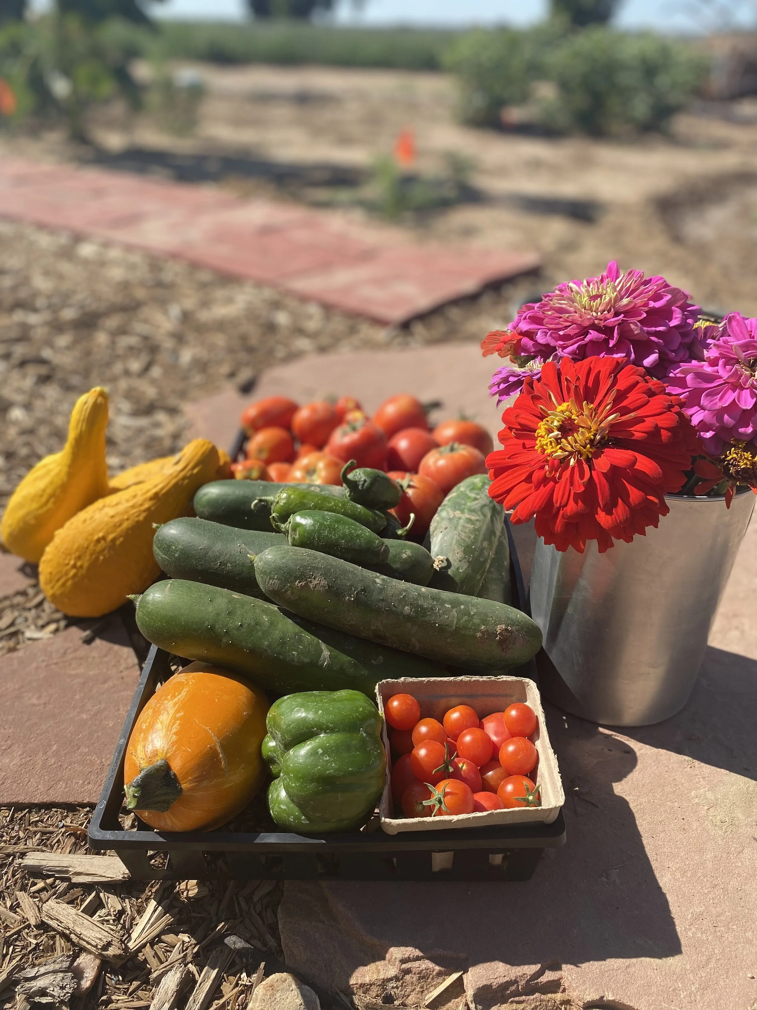 Farm Store — Aragon Farms