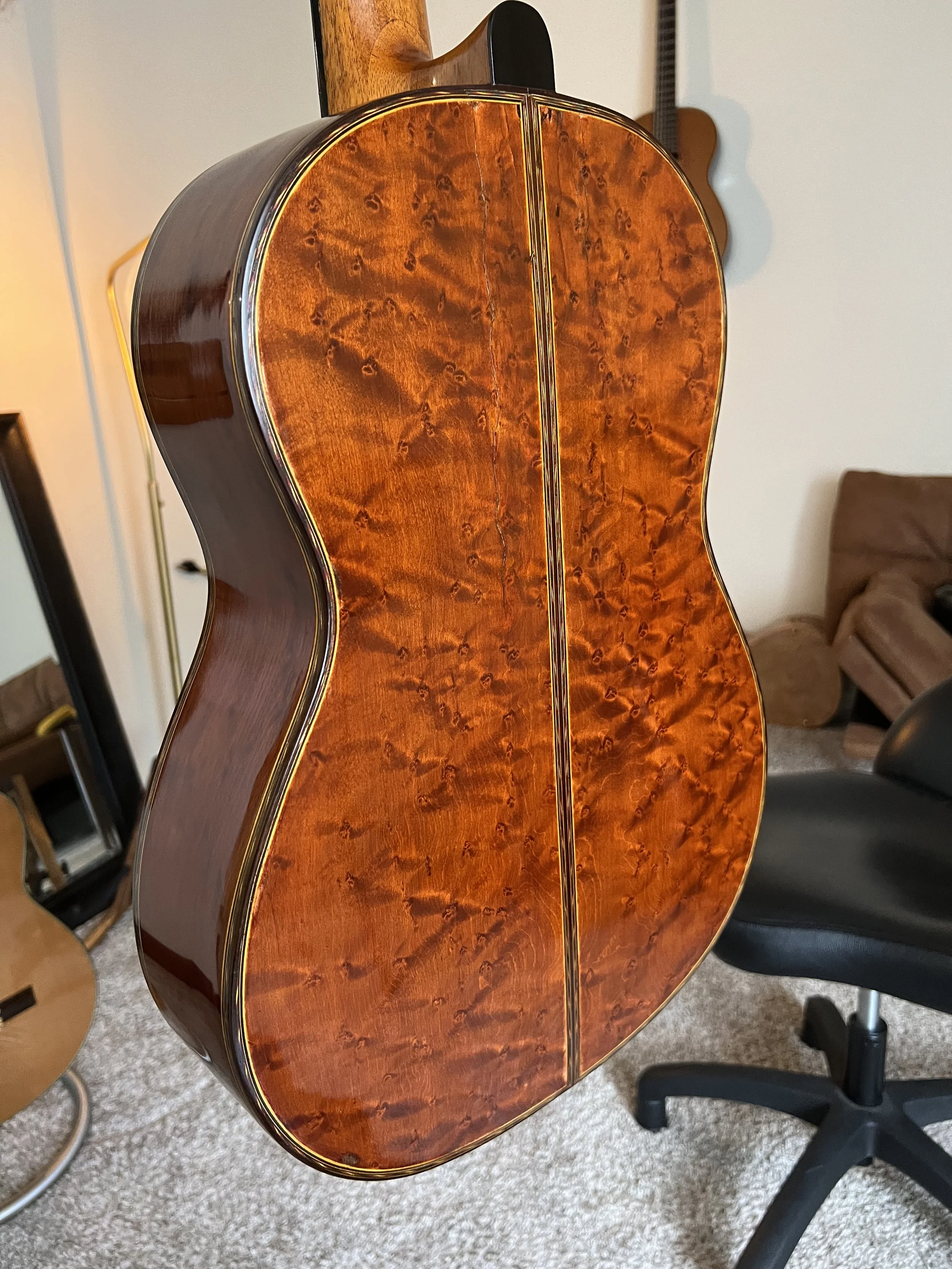 The Guitar Collection