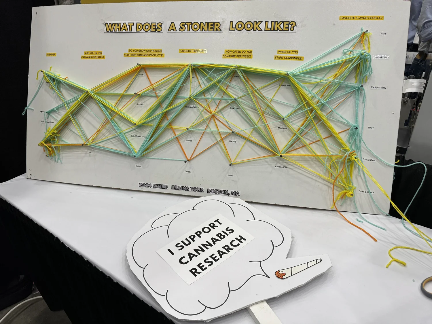 What Does a Stoner Look Like? (NECANN Boston Community Data ...