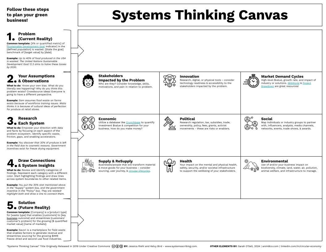 Sustainability, Systems Thinking, and Storytelling — Anim8 Collective