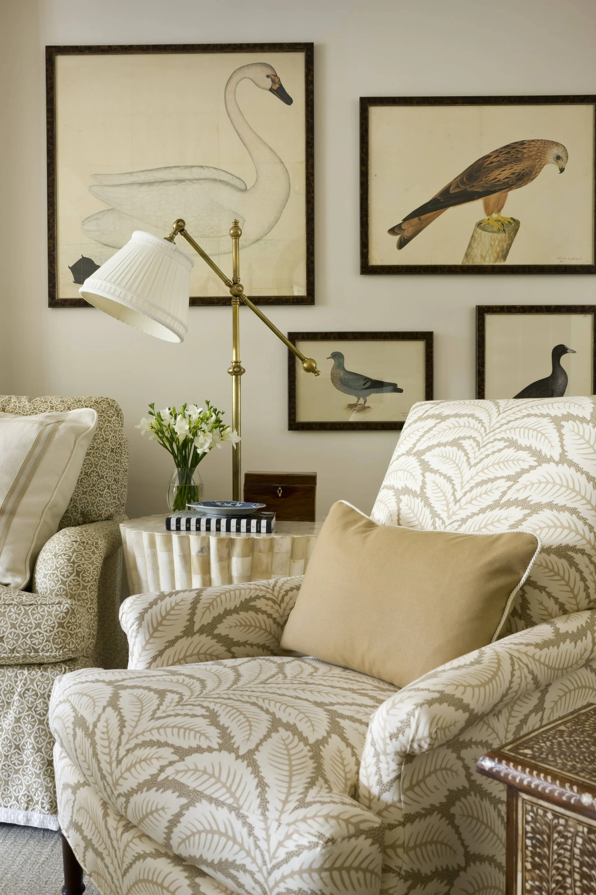 Georgetown Rowhouse — Sarah Bartholomew Design