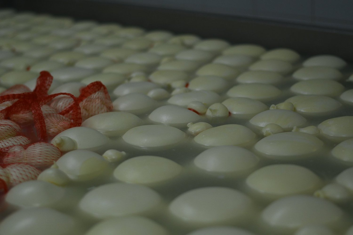 About Us — Liuzzi Cheese