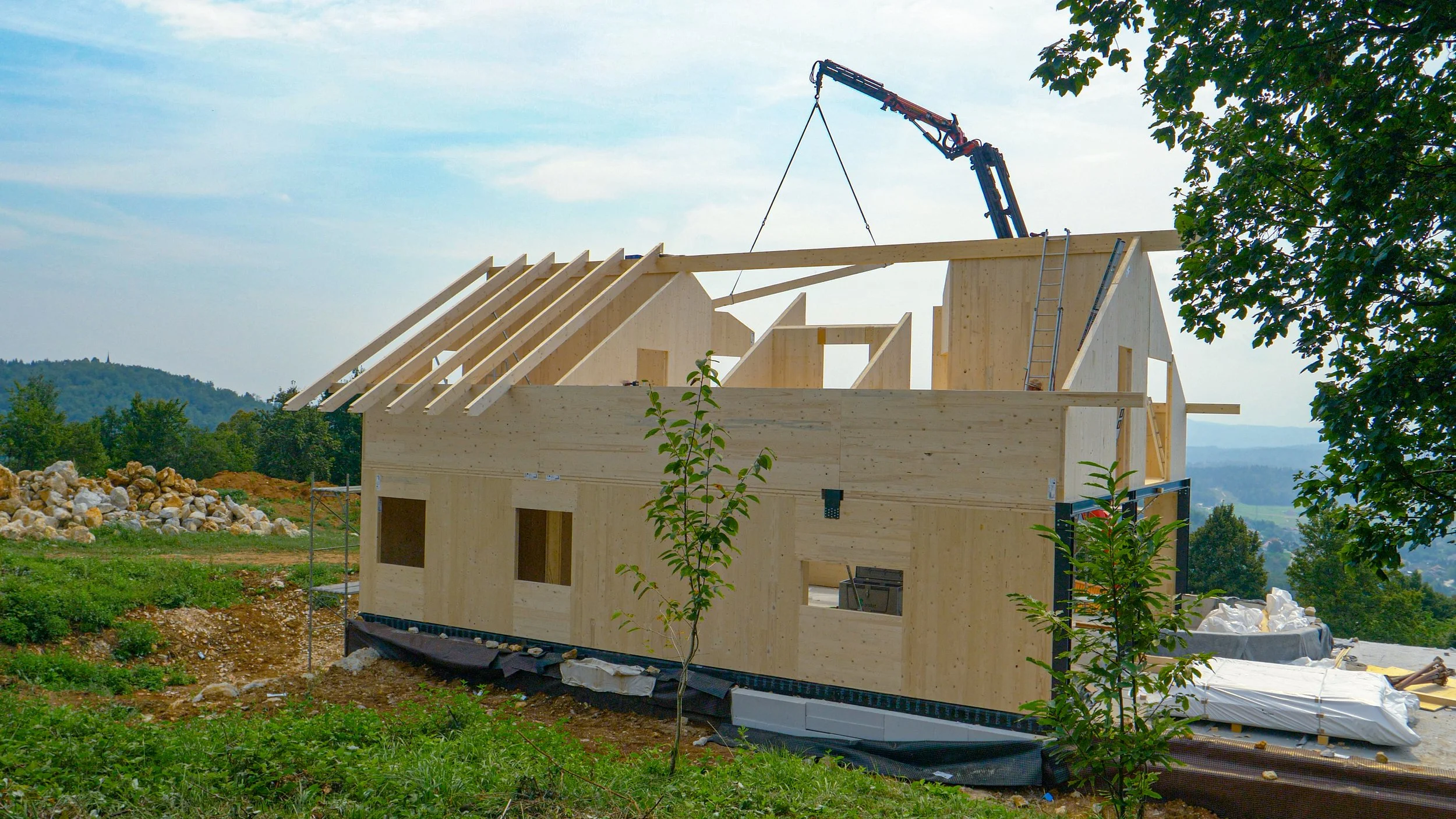 PROJECTS — Zindia Forestry