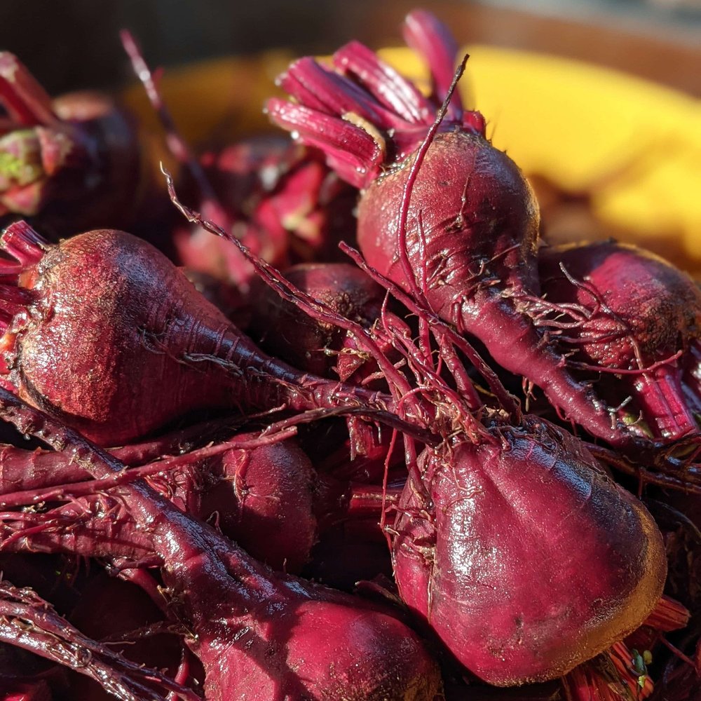 Barefoot Farm Produce | Red Beets