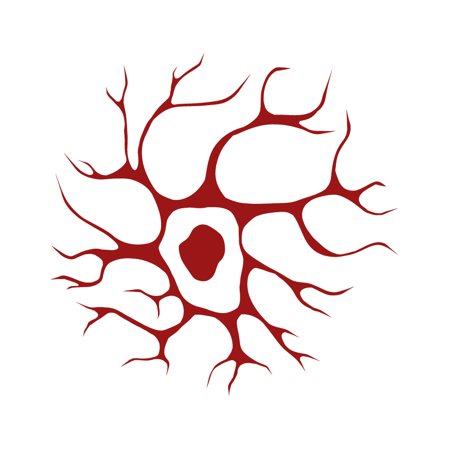 FIFTH BRAIN COLLECTIVE — The Concept of the Fifth Brain