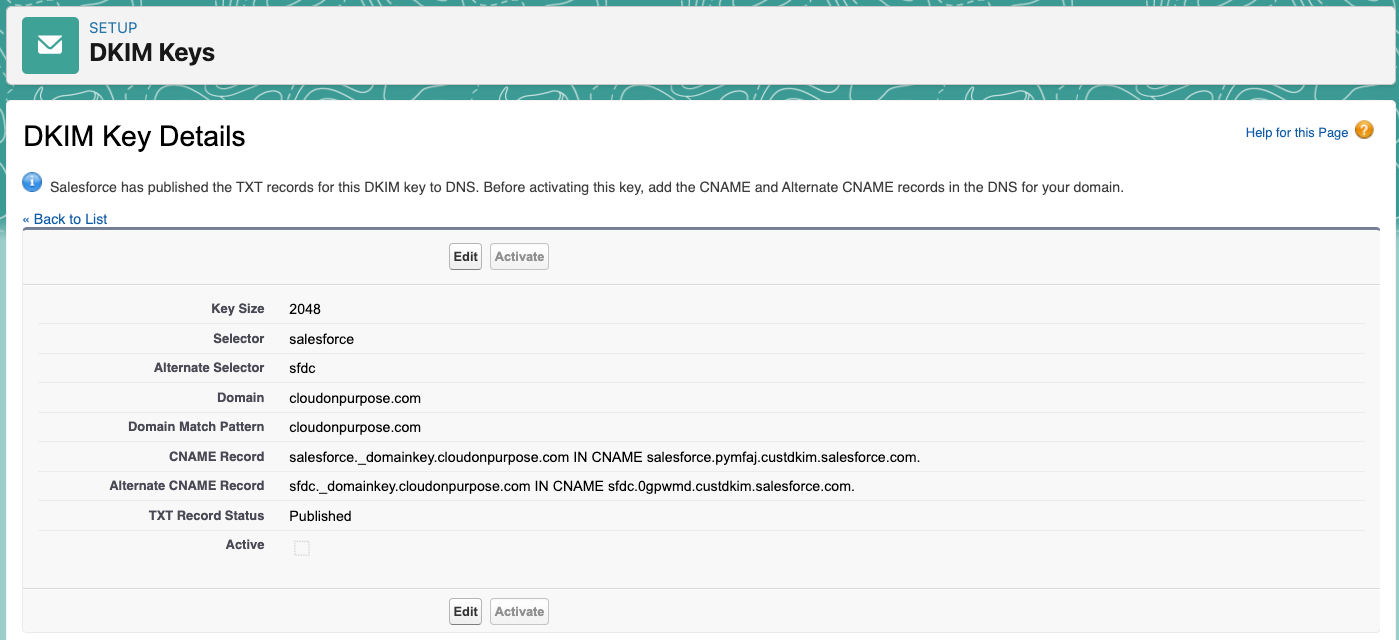 How to Setup Salesforce SPF and DKIM (New CNAME Version) — Cloud on Purpose