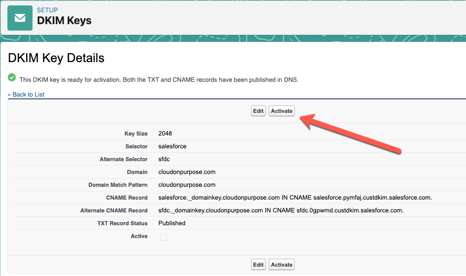 How to Setup Salesforce SPF and DKIM (New CNAME Version) — Cloud on Purpose