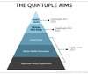 The Quintuple Aims — Quintuple Aim