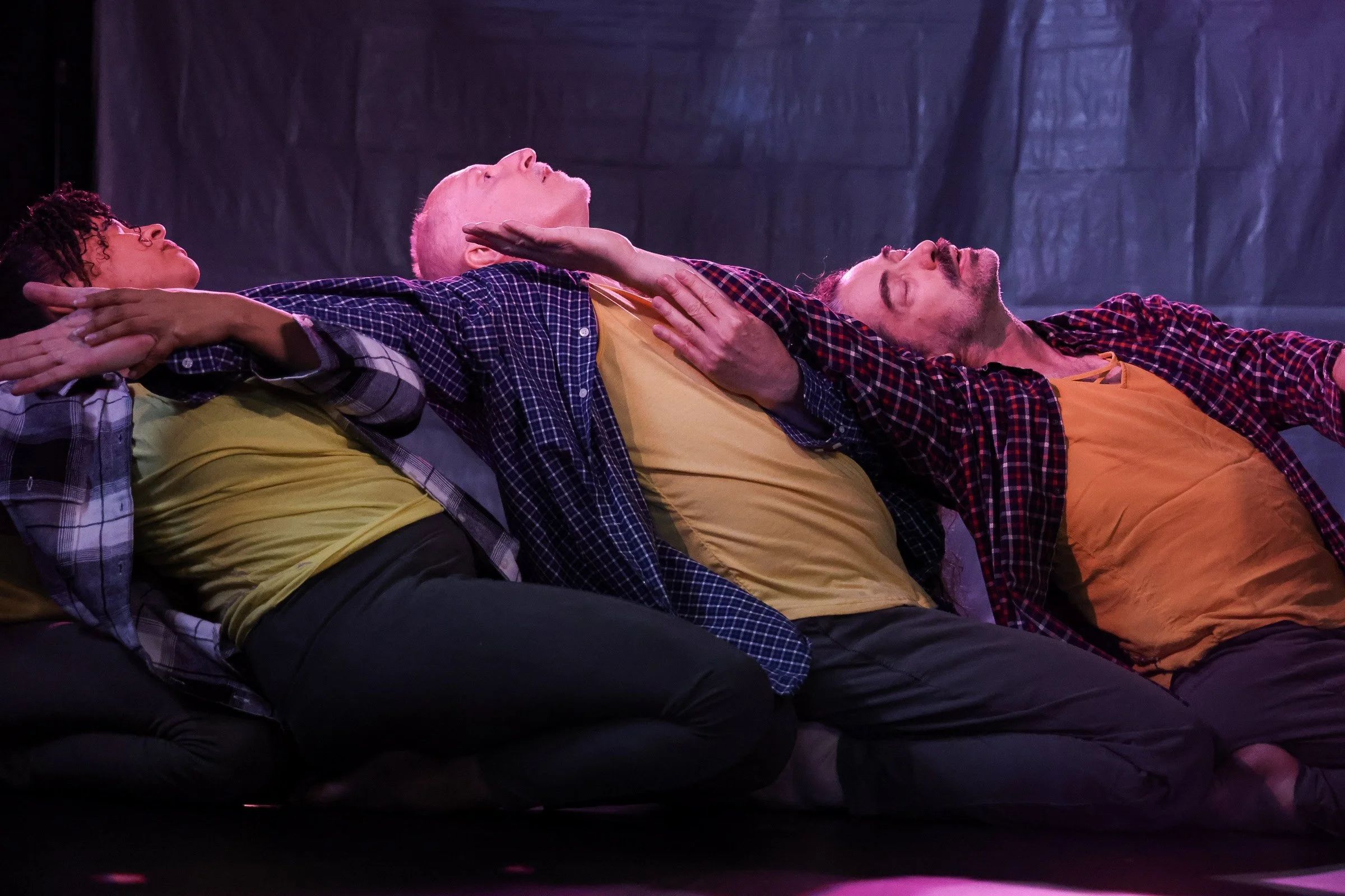 ARTS & LIVE PERFORMANCES — Ampersand International Arts Festival