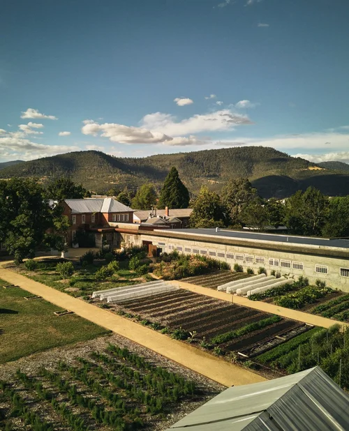 The Agrarian Kitchen