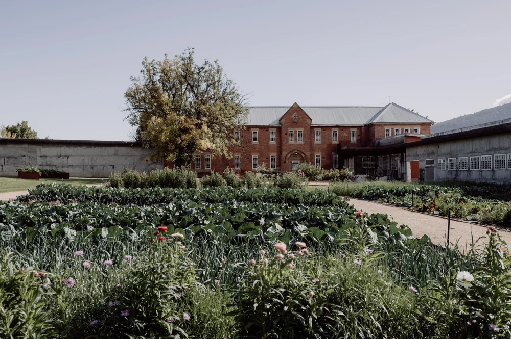 Garden — The Agrarian Kitchen