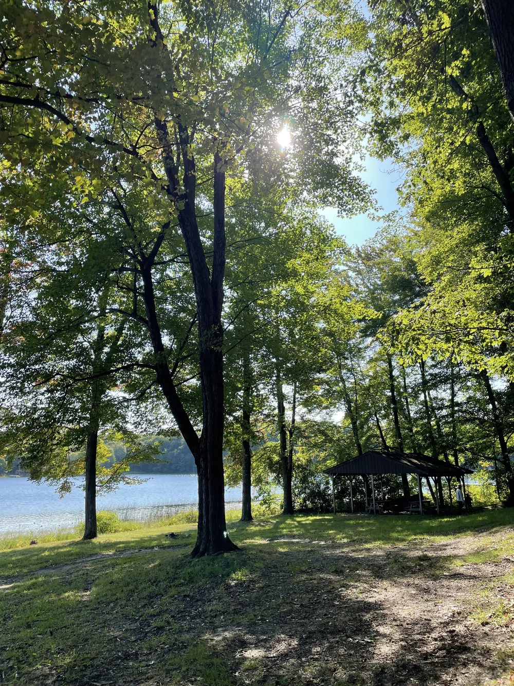 Our Mission — Pinewood Trails Forest School