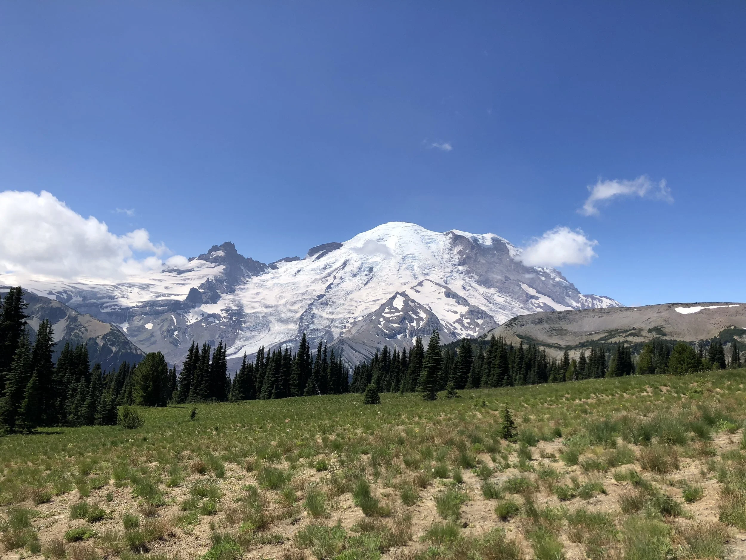 Cascade Trauma and Acute Care Surgery