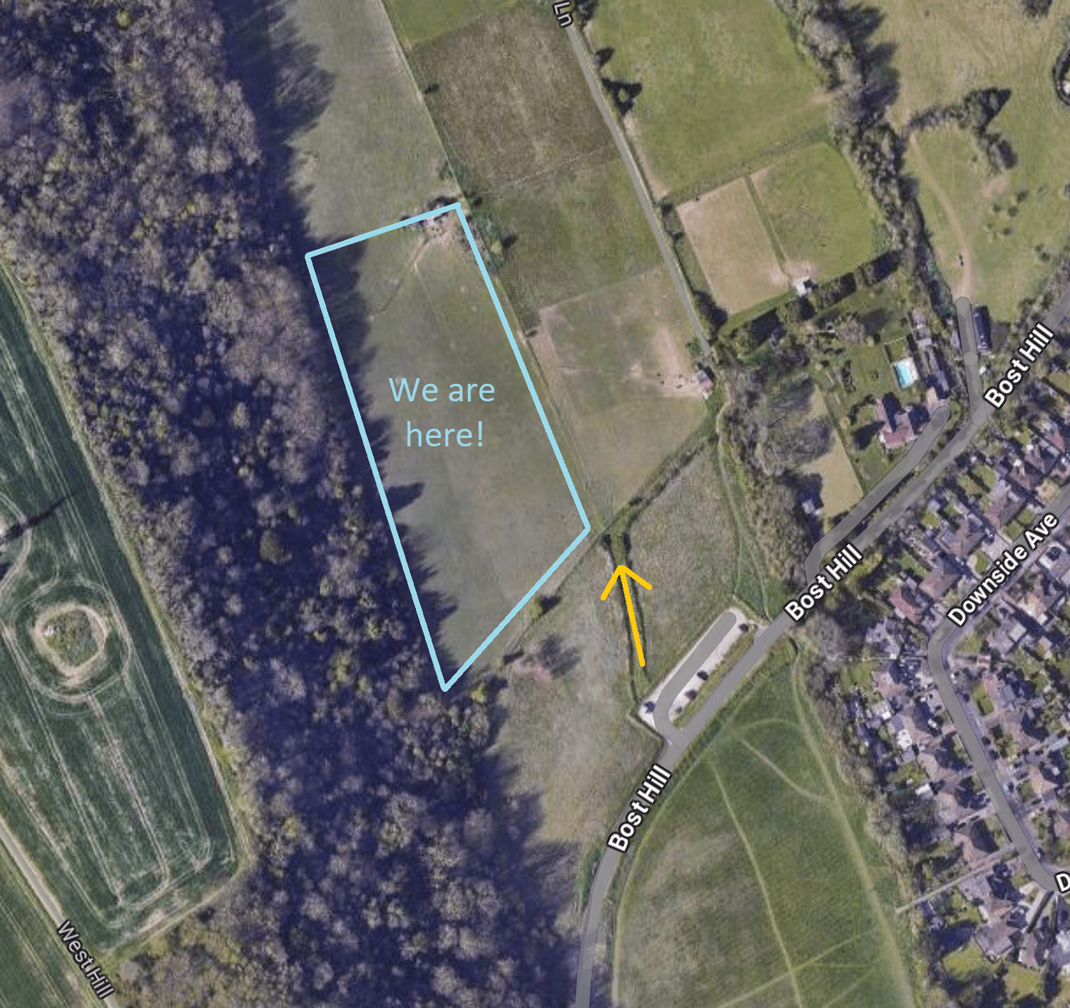 Findon Dog Field