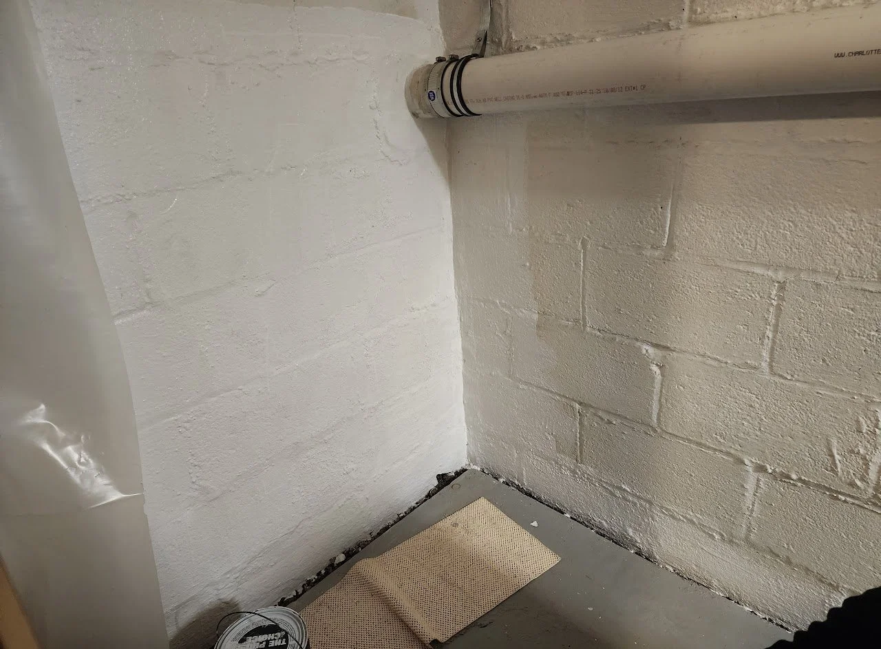 Mold Remediation — Ultime Mold and Pest