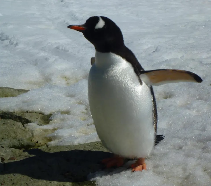 About — Fluid Numerics