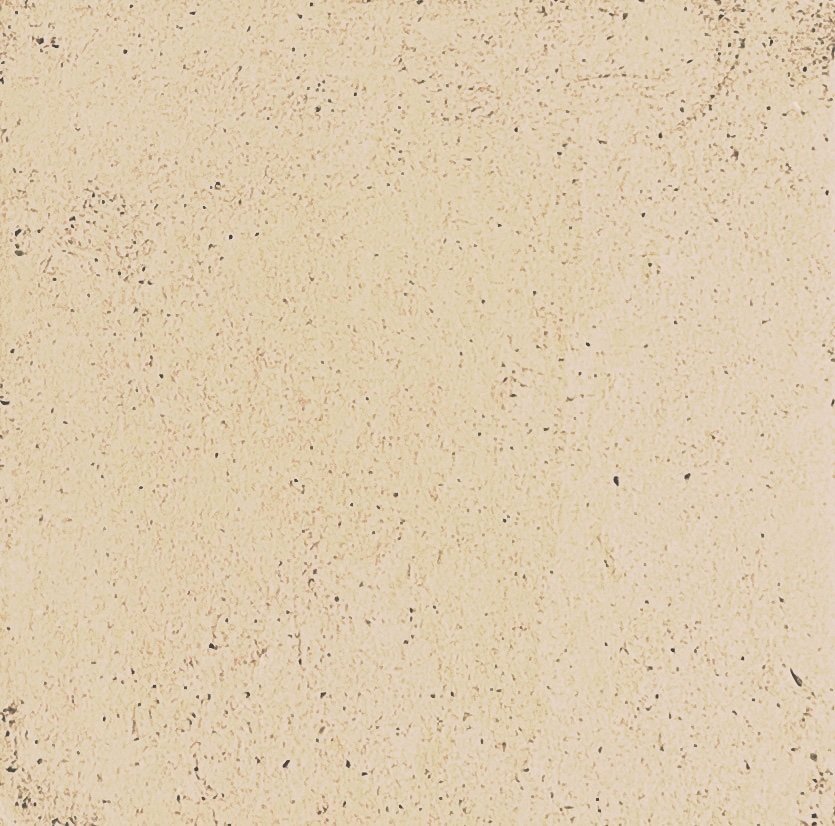 Handcrafted Precast Concrete Pavers for Indoor & Outdoor Spaces ...
