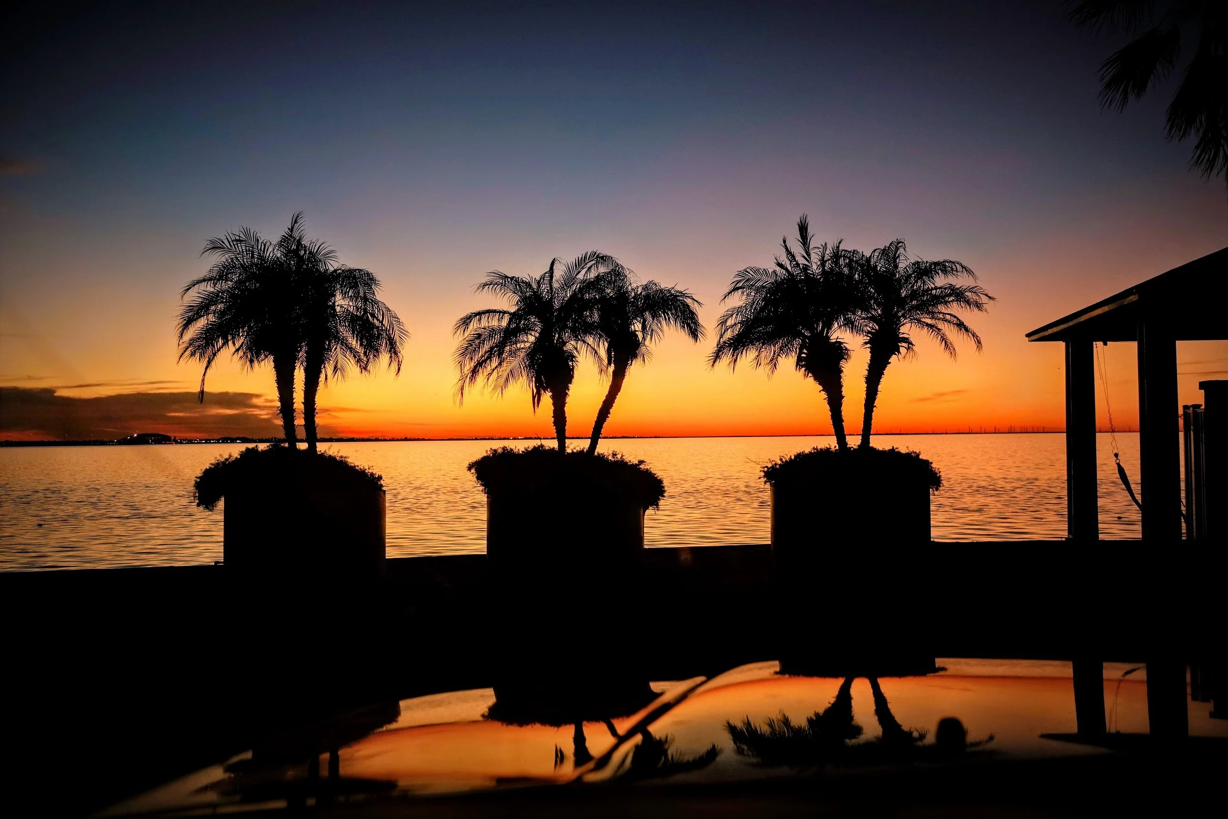 About Me — Sarah McKinlay Real Estate