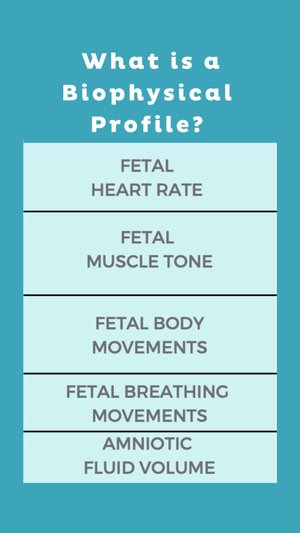What is a Biophysical Profile test in pregnancy? — 4th Trimester ...