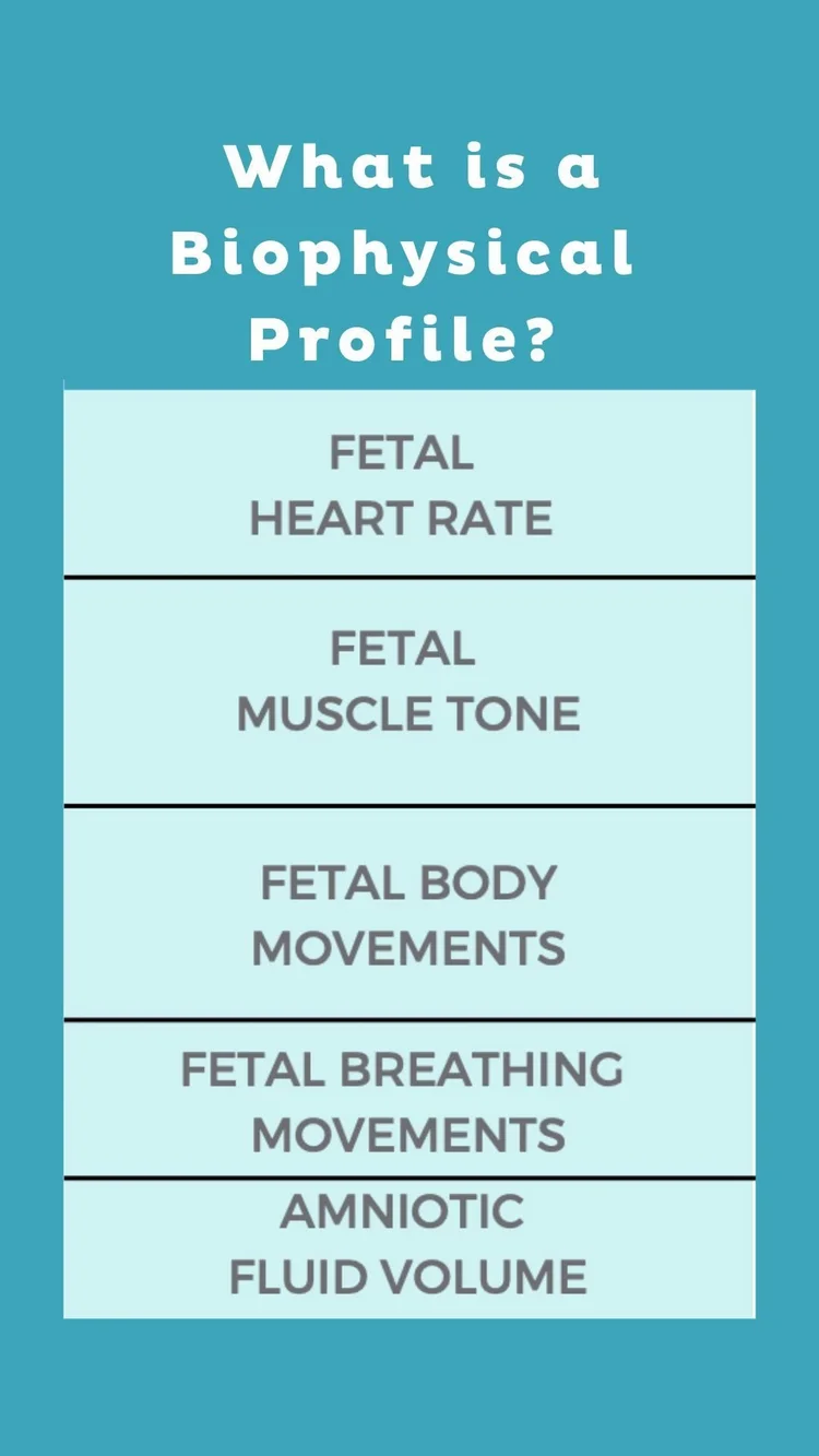 What is a Biophysical Profile test in pregnancy? — 4th Trimester ...