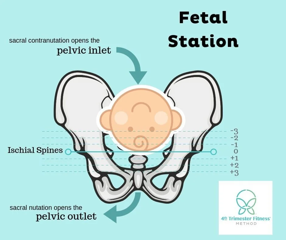 How to open the pelvis for labor and birth — 4th Trimester Fitness Method