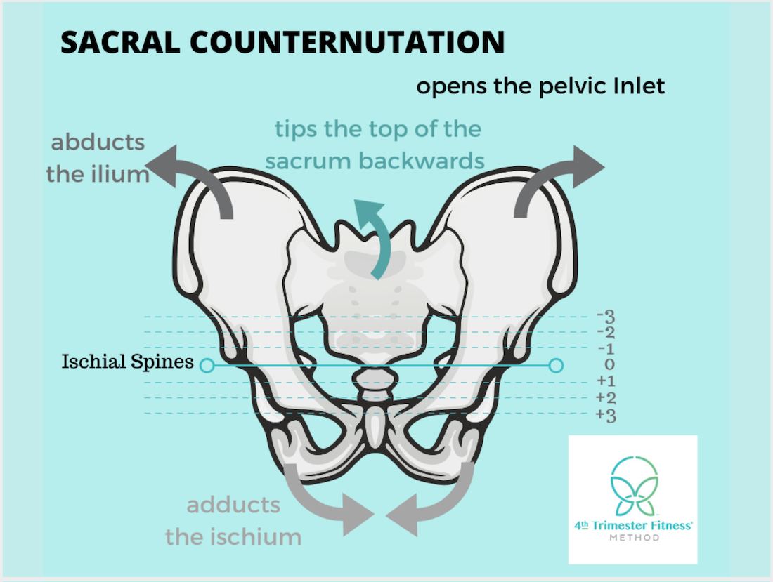 How to open the pelvis for labor and birth — 4th Trimester Fitness Method