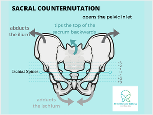 How to open the pelvis for labor and birth — 4th Trimester Fitness Method