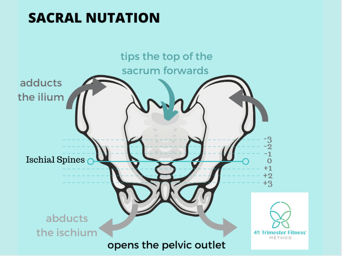 How to open the pelvis for labor and birth — 4th Trimester Fitness Method