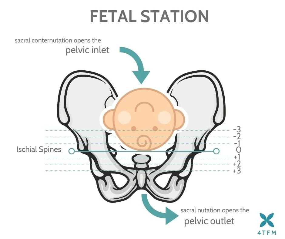 How to open the pelvis for labor and birth — 4th Trimester Fitness Method