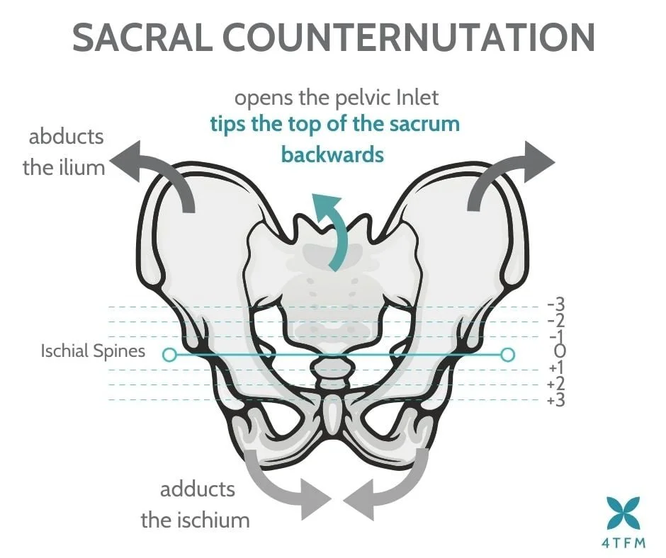How to open the pelvis for labor and birth — 4th Trimester Fitness Method