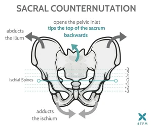 How to open the pelvis for labor and birth — 4th Trimester Fitness Method