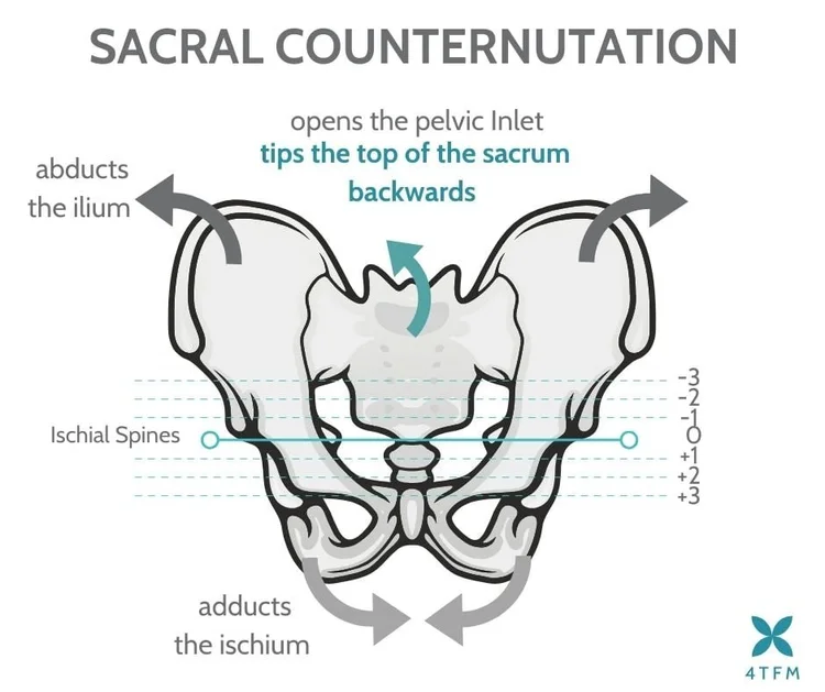How to open the pelvis for labor and birth — 4th Trimester Fitness Method