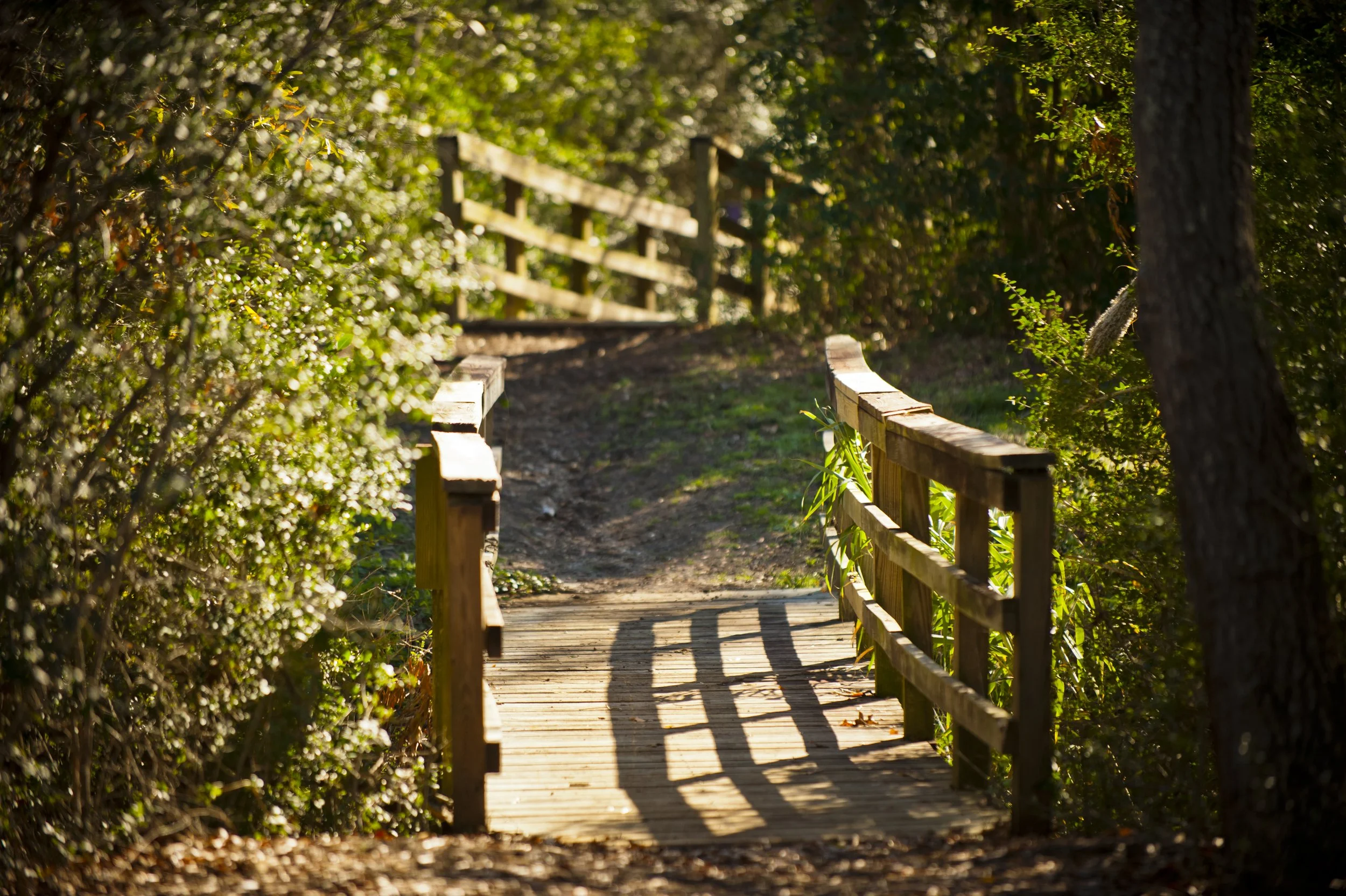 Play — Visit La Porte TX