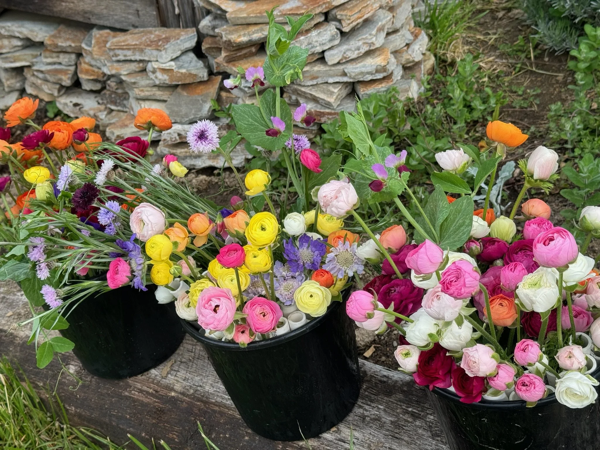 DIY Flower Buckets — Bear Creek Farm TN