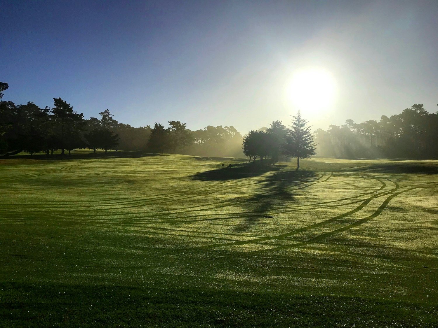 Oneonta Country Club