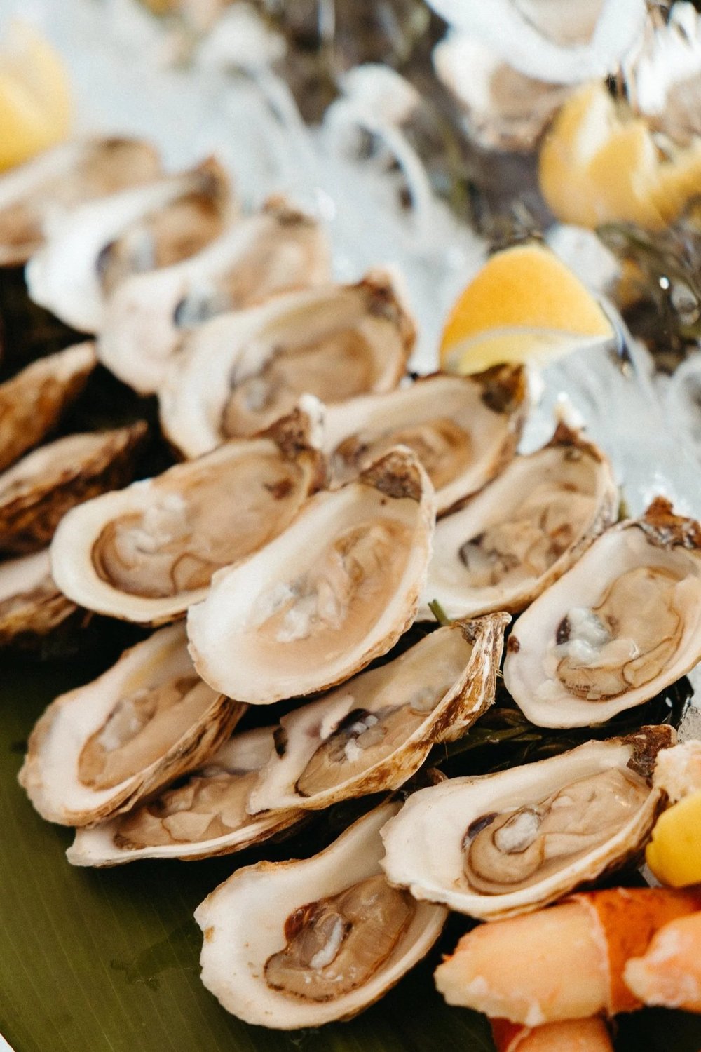 Dinner Menu. | Ocean Seven