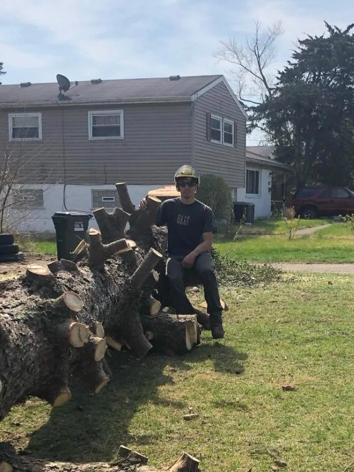 S.B. Tree Service Cincinnati