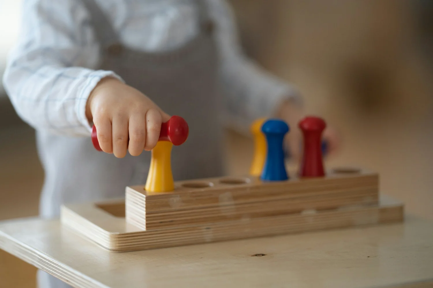 Quad City Montessori School