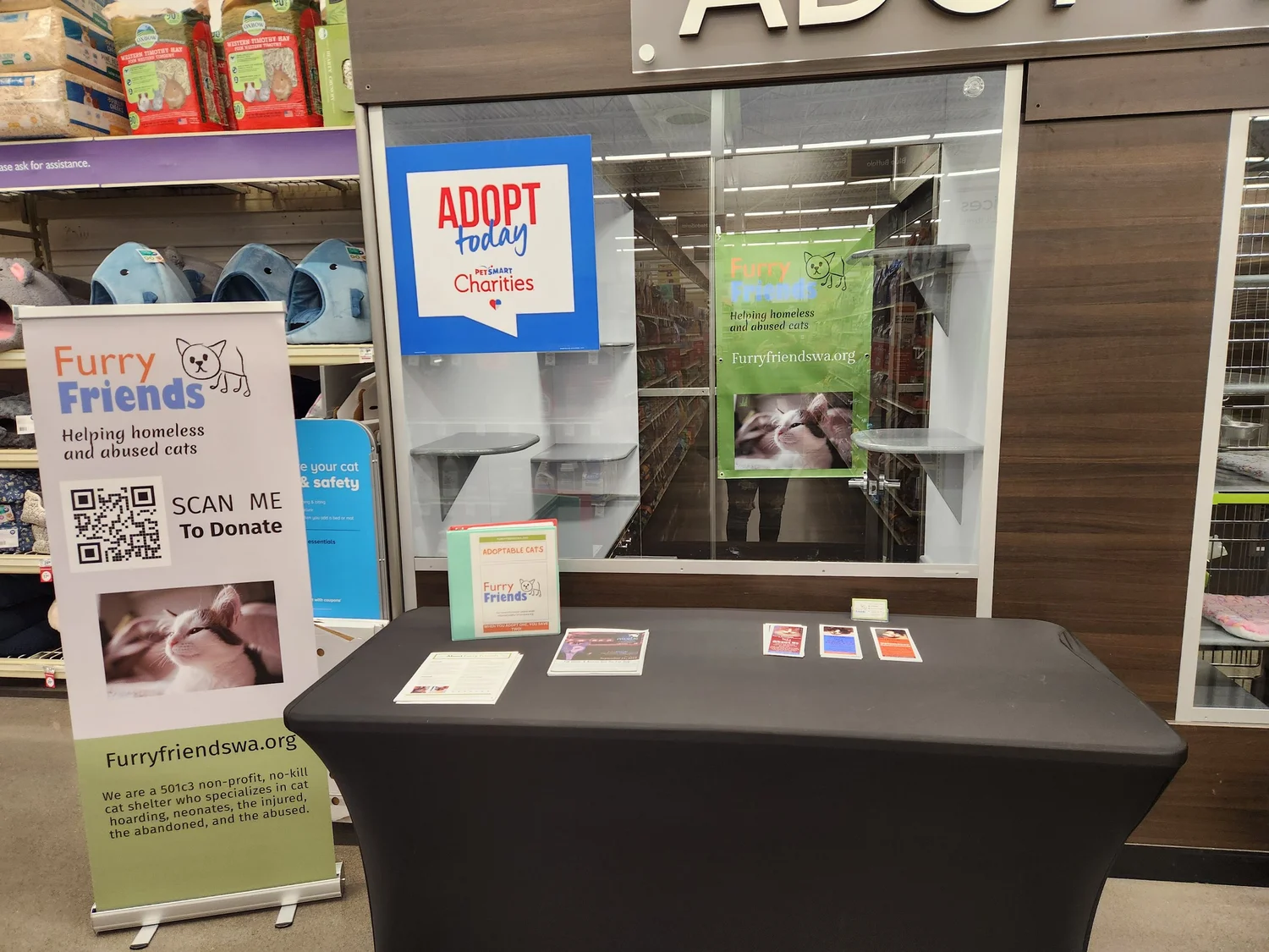 Furry Friends | Support Feline Rescue Today