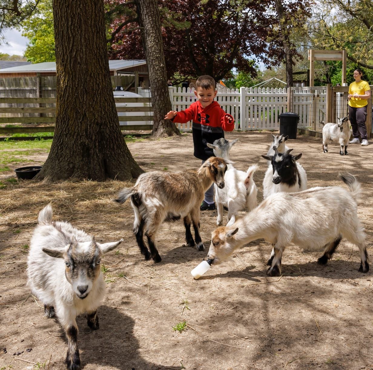 Long Island Game Farm